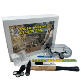Earthlines Fossil Hunting Starter Kit - Essential Tools & Gear ...